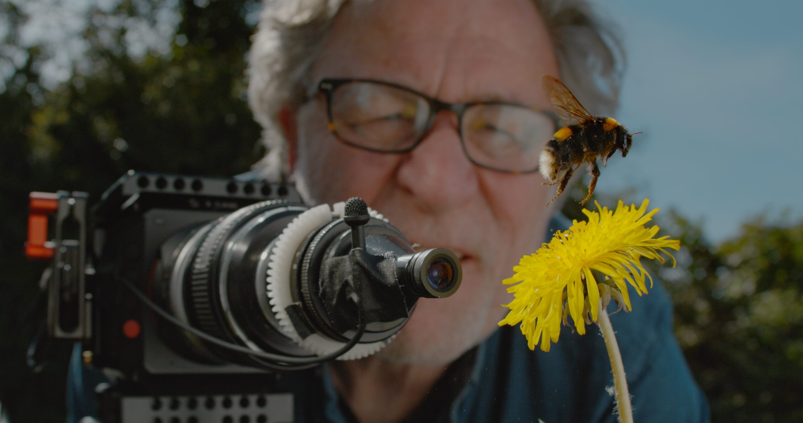 Host a screening of the PBS documentary film, My Garden of a Thousand ...