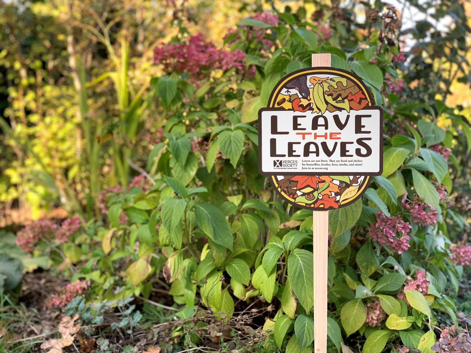 Leave the Leaves Promo Kit for Affiliates - Bee City USA