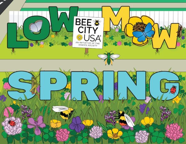 No Mow May - Bee City USA