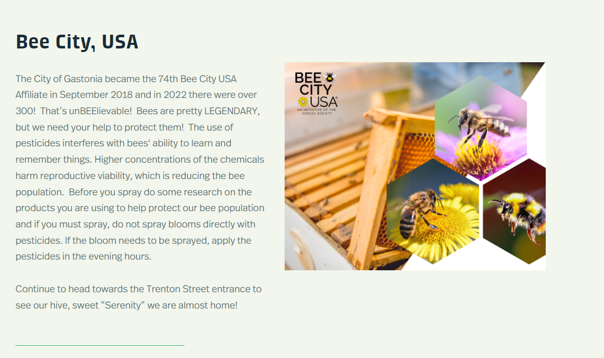 Affiliate Spotlight: Award-Winning Pollinator Art in Gastonia, NC - Bee ...