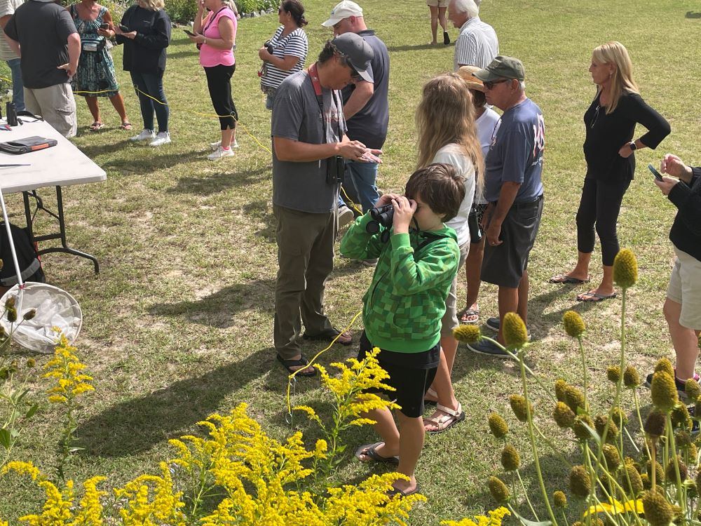 The Sky’s the Limit for Monarchs Wearing Solar-Powered Radio Tags - Bee ...