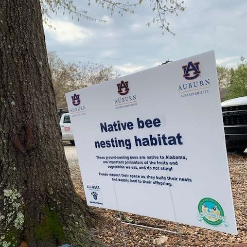 Examples of BCUSA Signs & Displays - Bee City USA