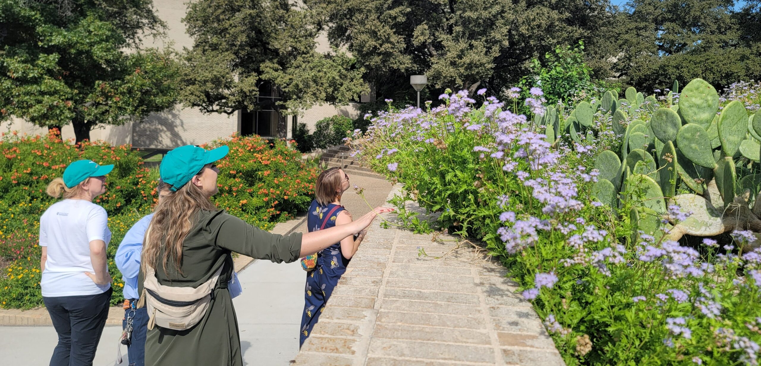 Bee City USA Visits Texas: Southwestern University and UT Austin - Bee ...