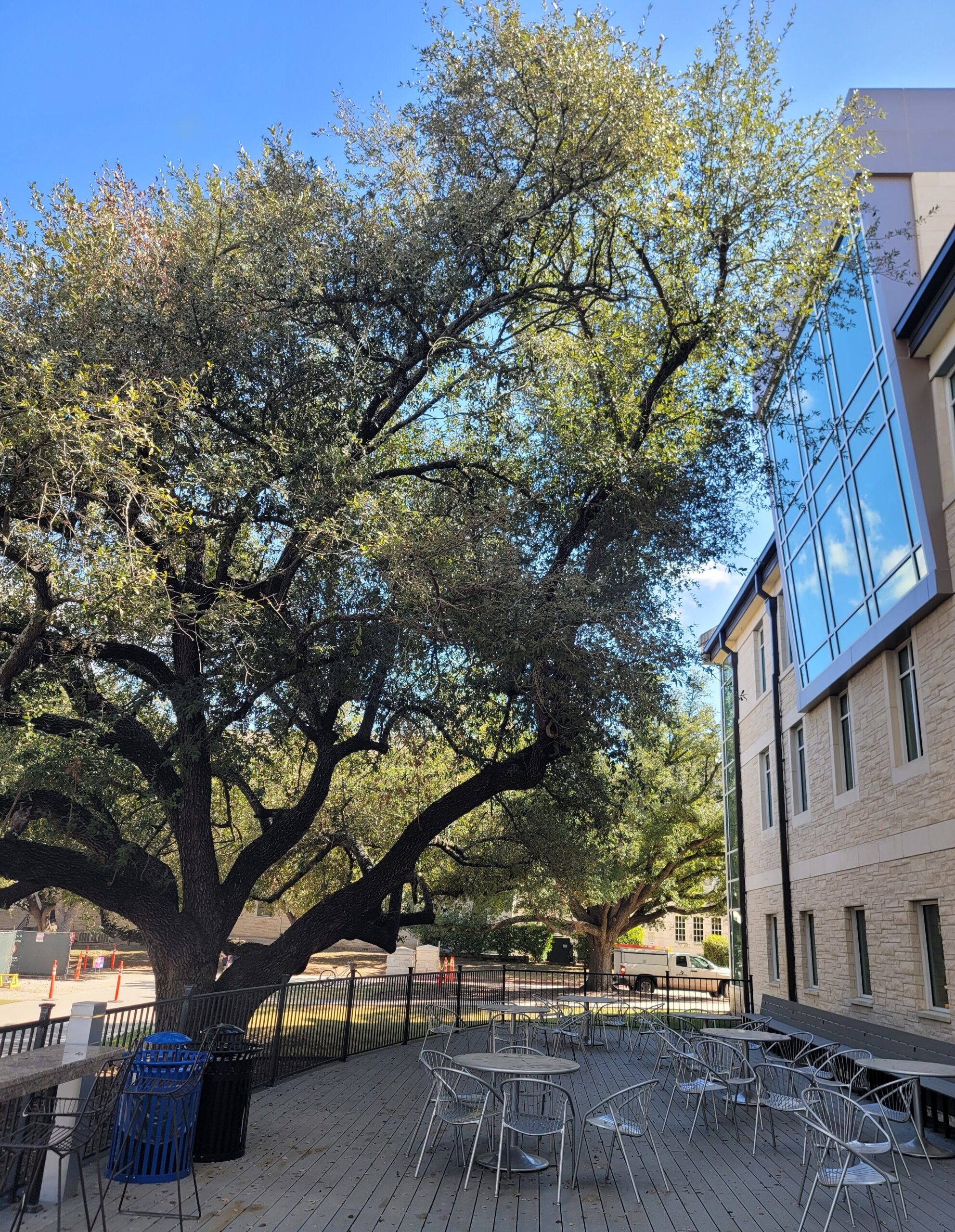 Bee City USA Visits Texas: Southwestern University and UT Austin - Bee ...