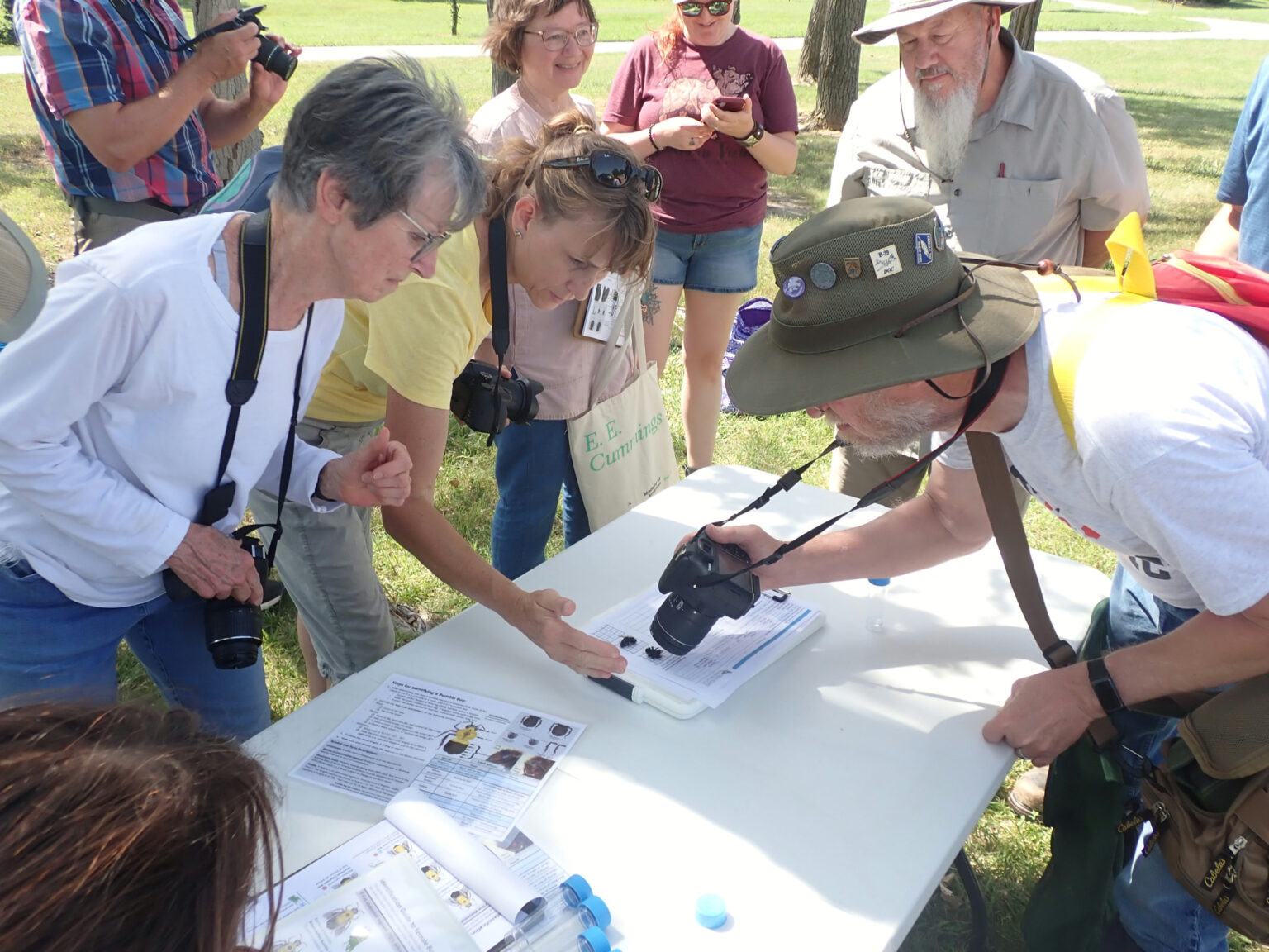 Join the Buzz: How You Can Help Bumble Bees This Summer - Bee City USA