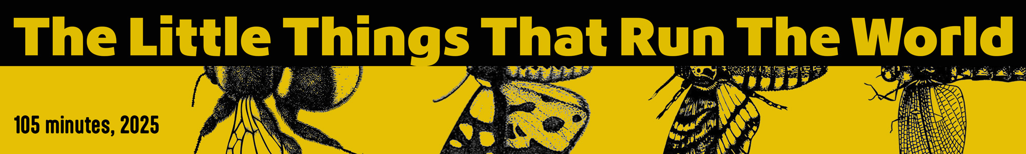 Host a screening of the documentary film, The Little Things That Run ...
