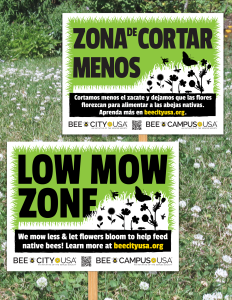 No Mow May, Low Mow Spring FAQs - Bee City USA