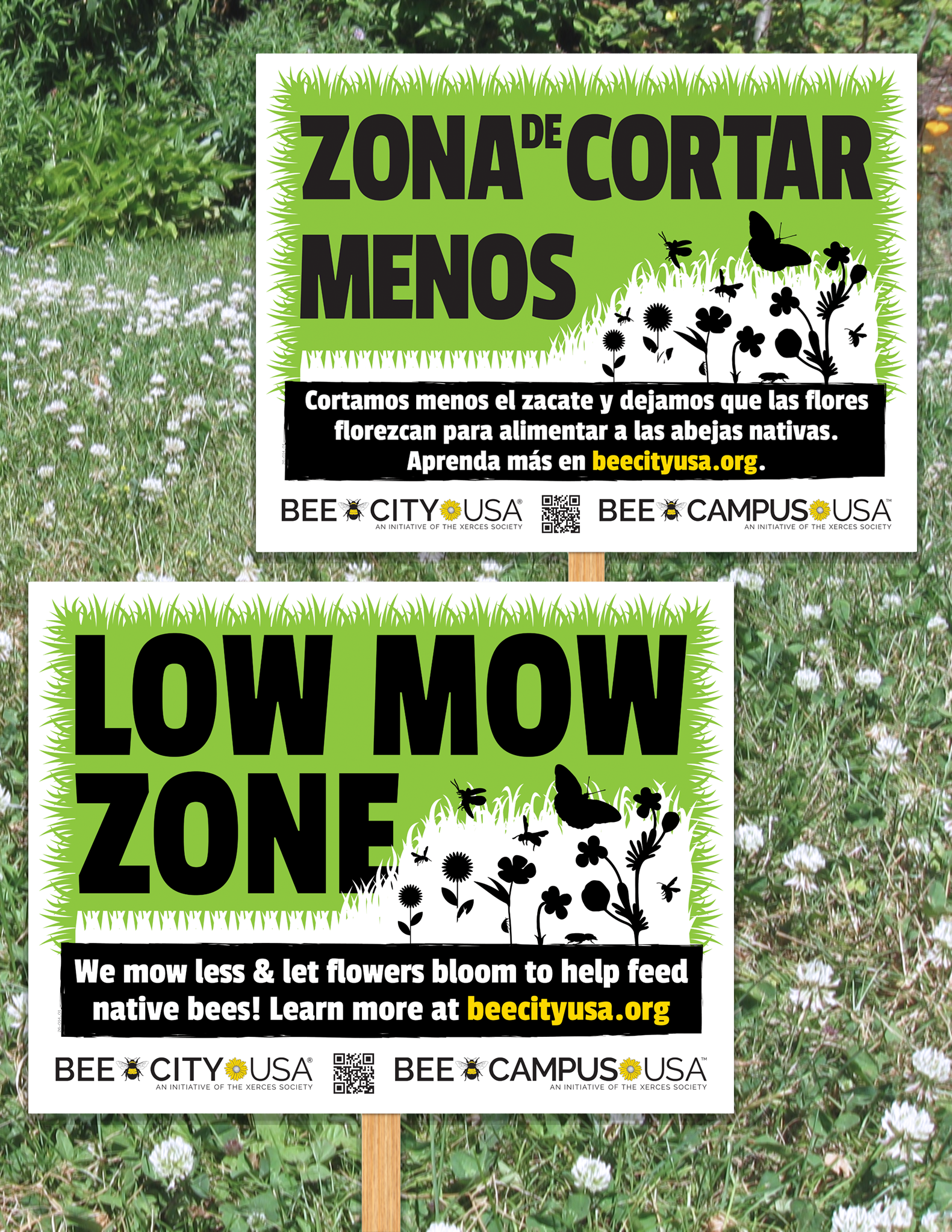 No Mow May, Low Mow Spring FAQs - Bee City USA