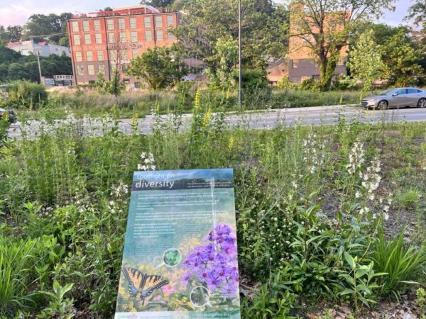 Examples of BCUSA Signs & Displays - Bee City USA